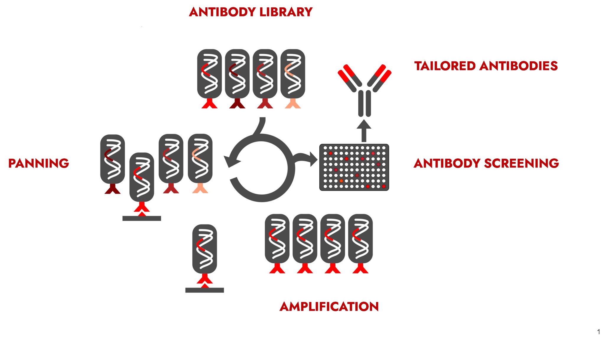 Technologies - Yumab
