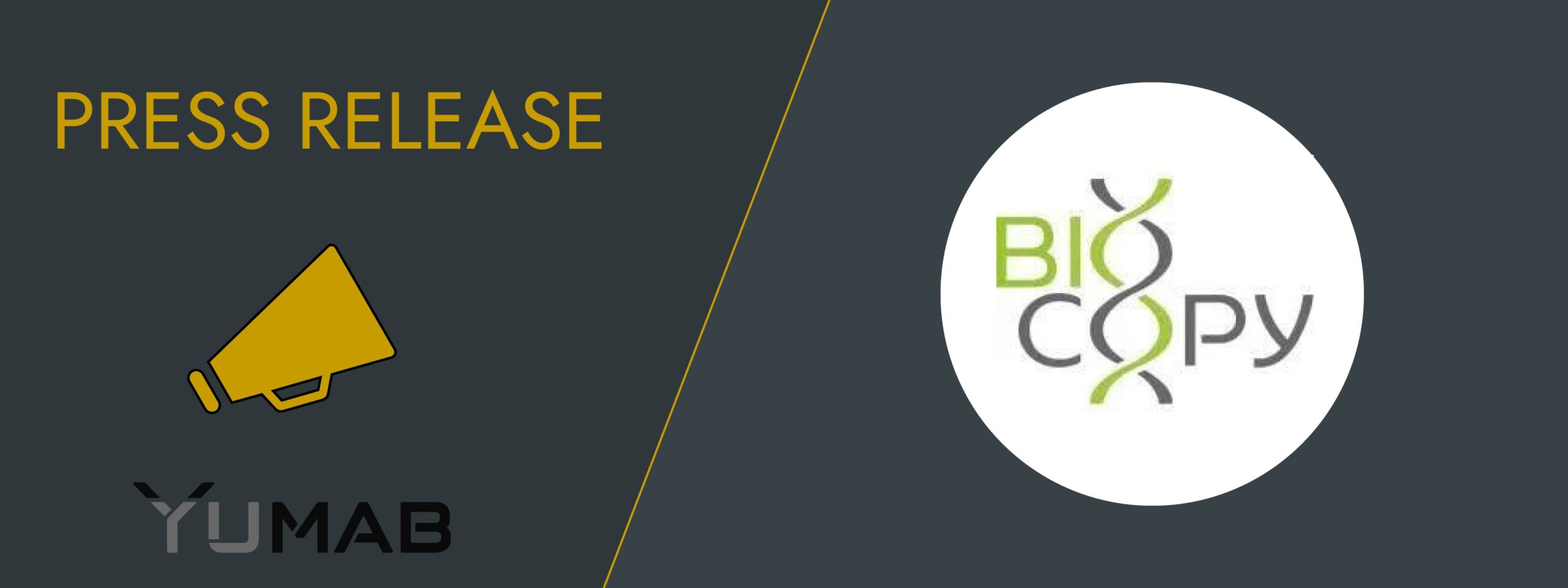BioCopy and YUMAB announce partnership for development of innovative safeTY-engager® platform ...